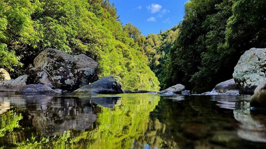Sledge Track and Harding's Park loops | Palmerston North City Council